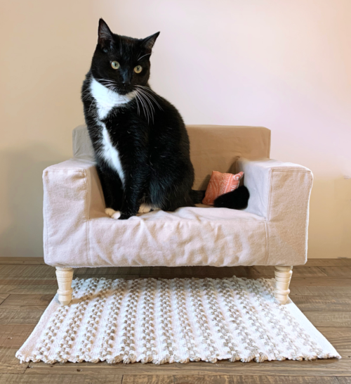 Cat Couch Raffle by Ten Lives Cat Rescue