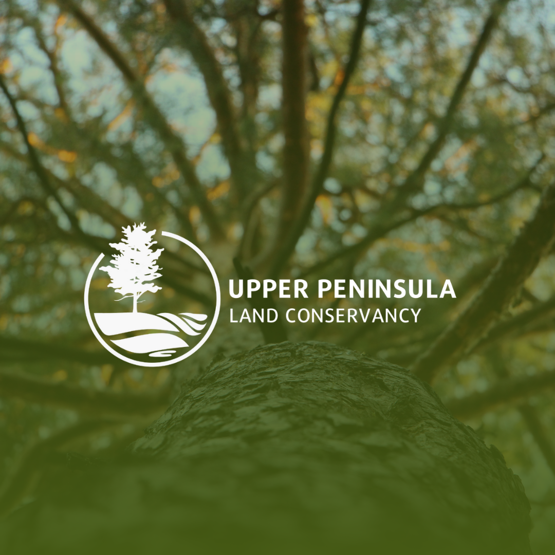 Donate Now | Adopt an Acre by Upper Peninsula Land Conservancy