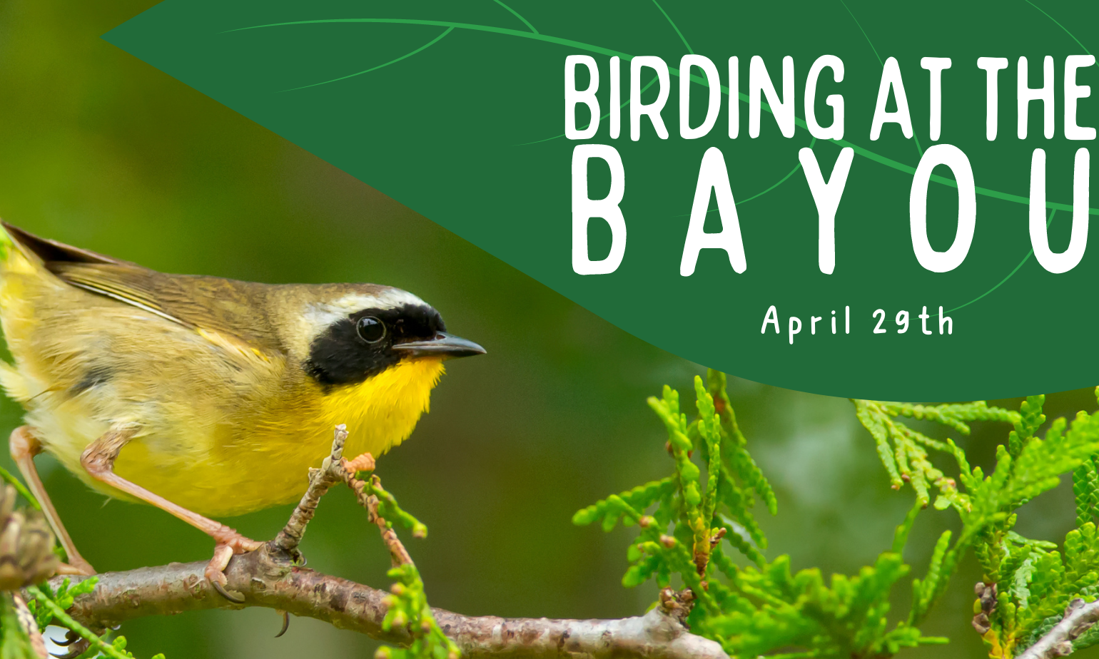 Birding at the Bayou by Upper Peninsula Land Conservancy