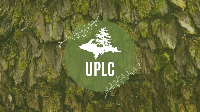 Proforestation: Secrets to a Carbon Capture Forest by Upper Peninsula ...