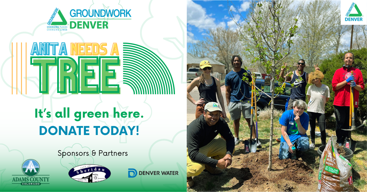 Donate Now | Anita Needs a Tree by Groundwork Denver