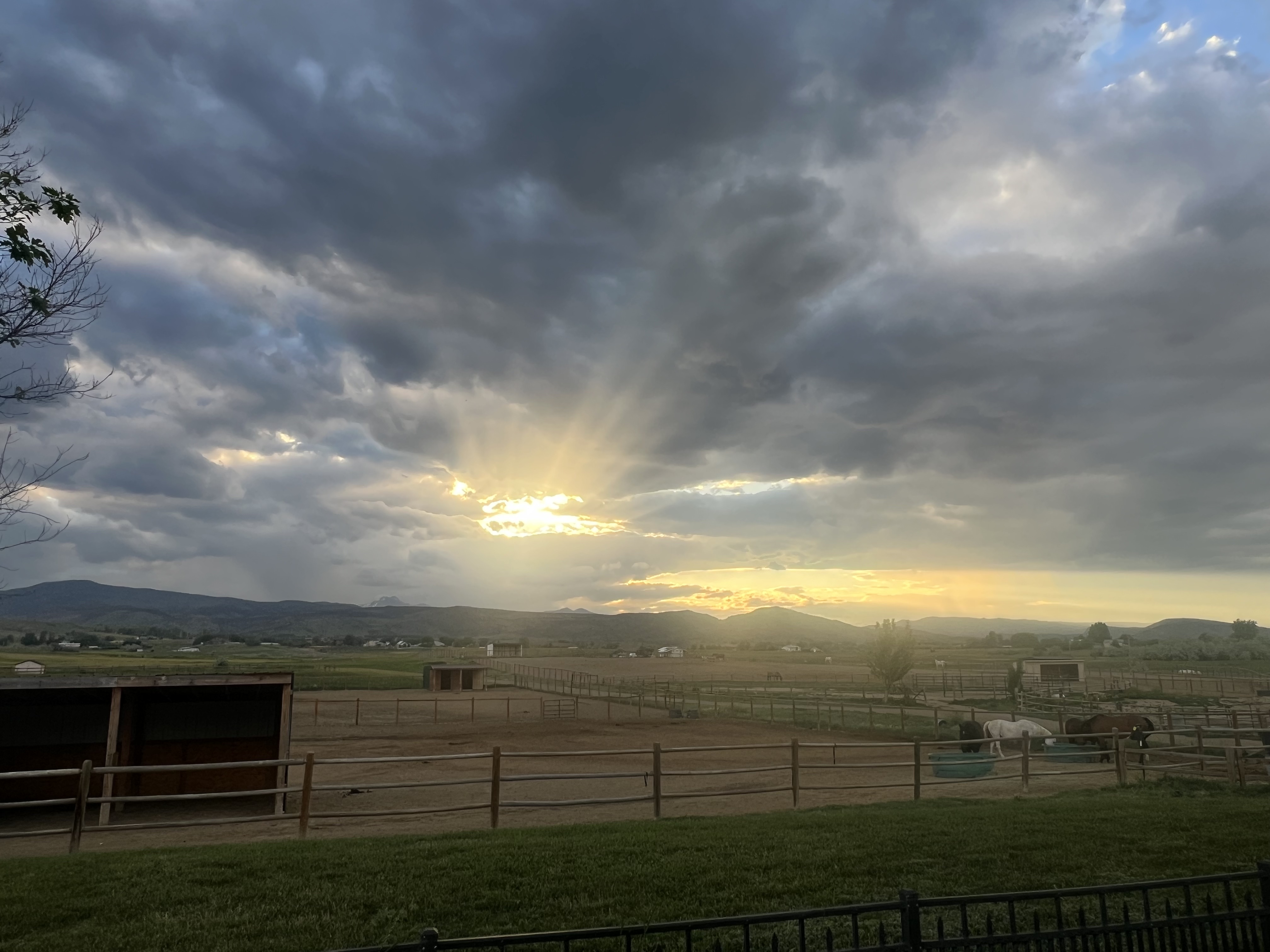 Donate Now | Healing Souls Ranch