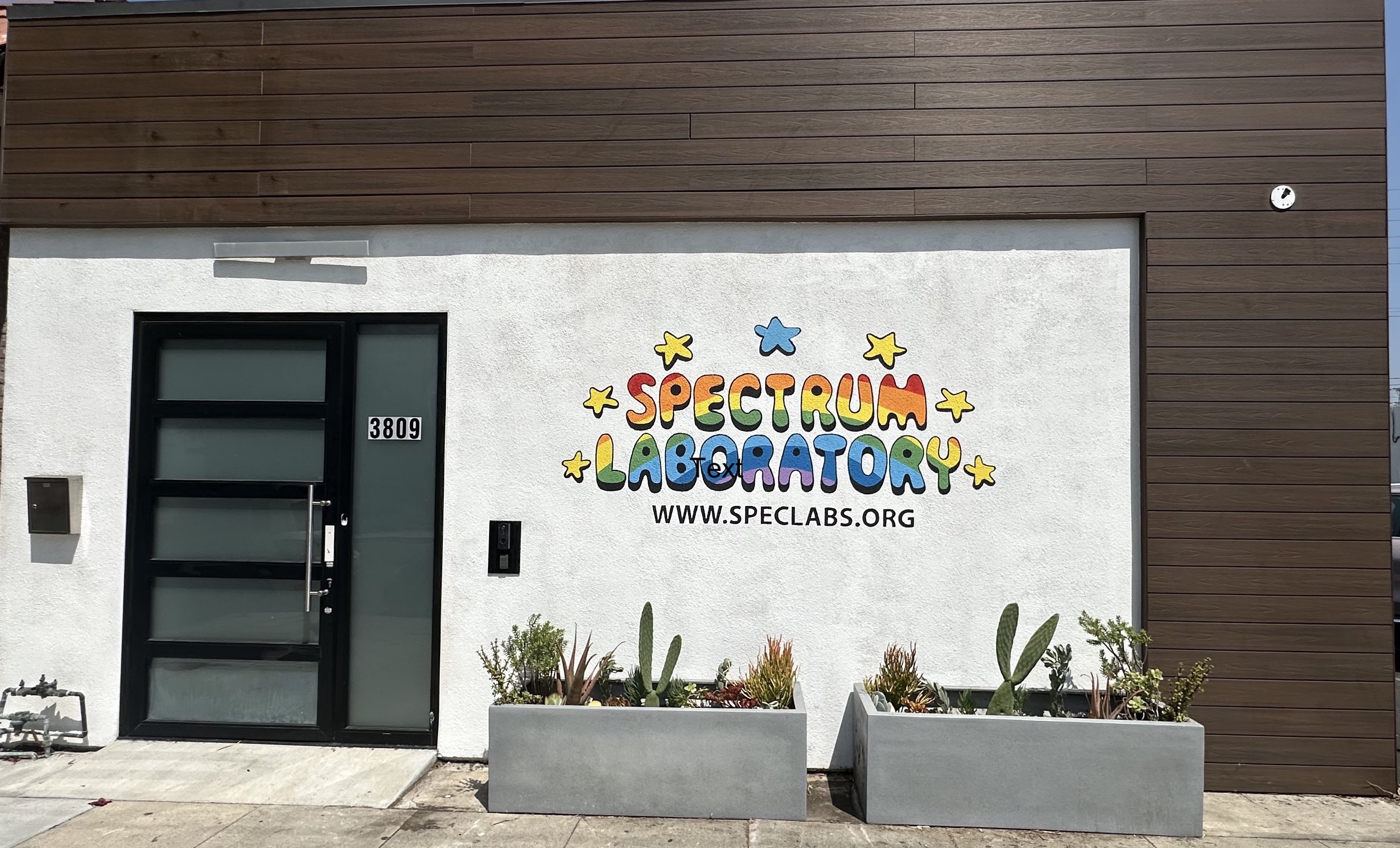 Donate Now | Celebrating 10 years of Neurodivergent Artists at Spectrum ...