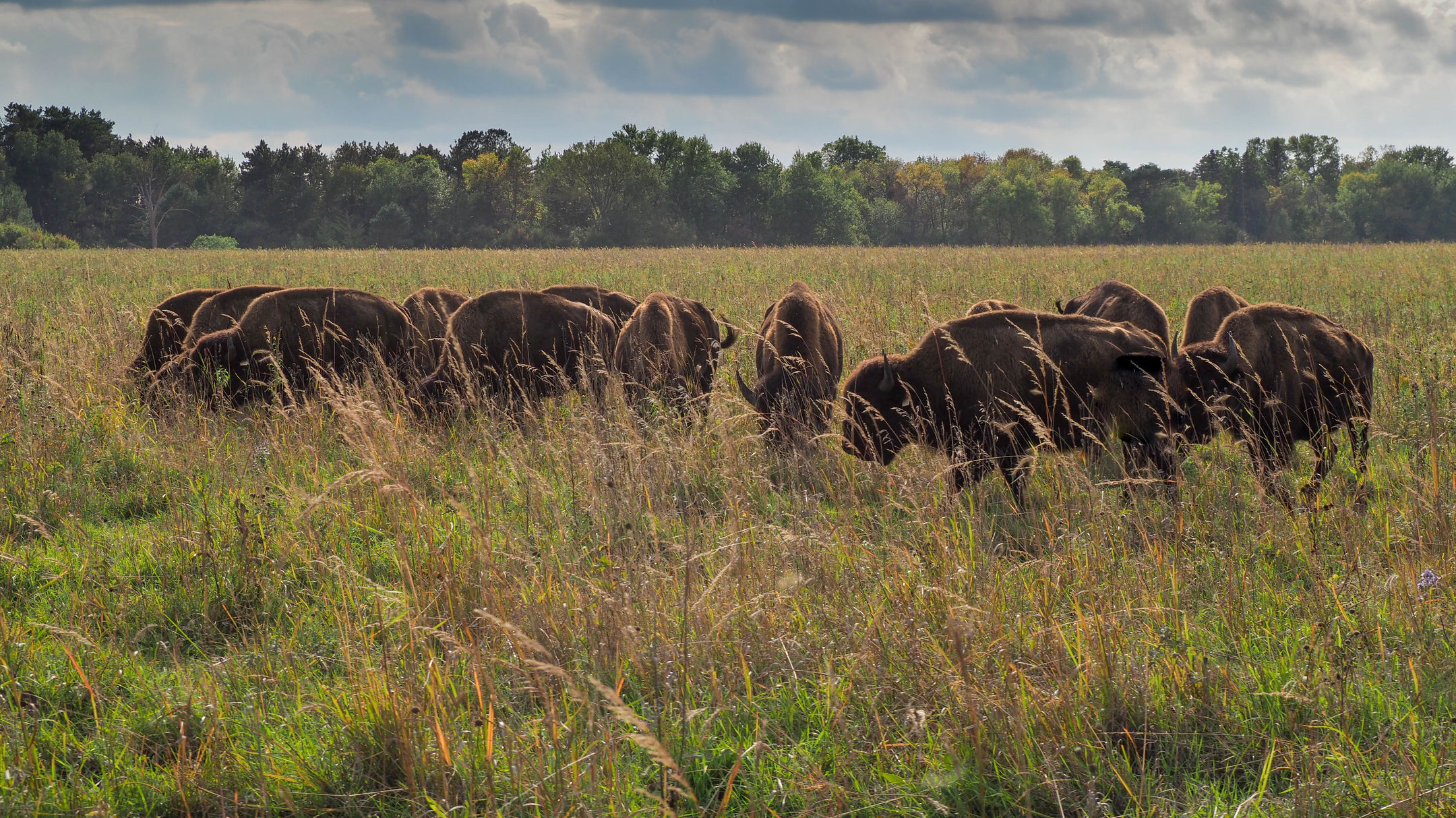 Donate Now | Belwin Conservancy