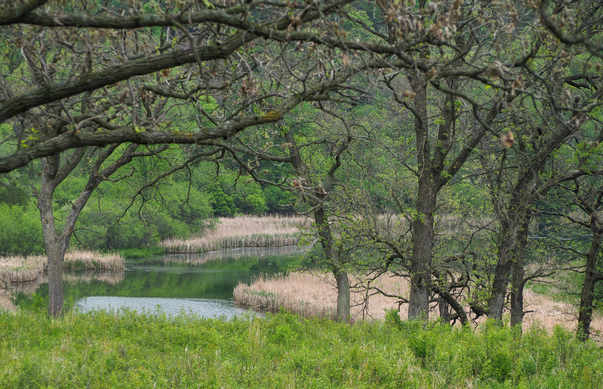 Donate Now | Belwin Conservancy