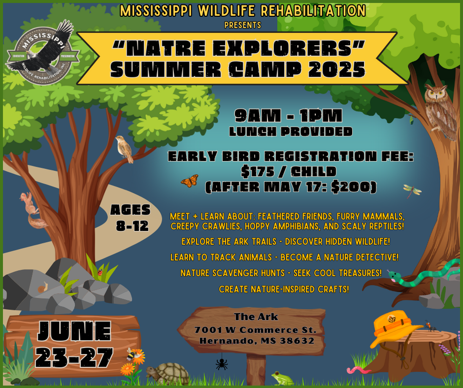 Nature Explorers Summer Camp 2025 by Mississippi Wildlife ...