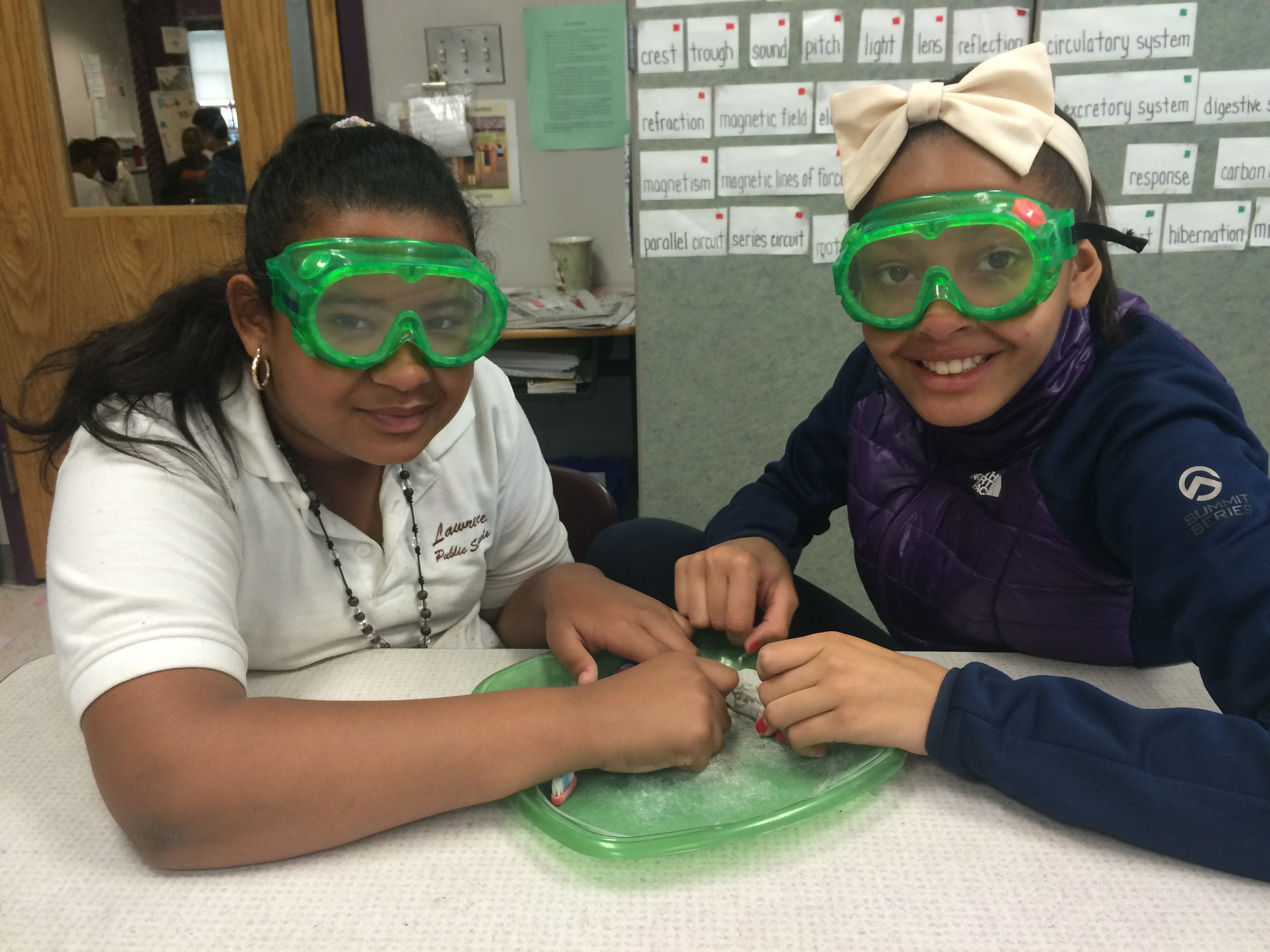 2025 INSPIRE Awards by Science from Scientists