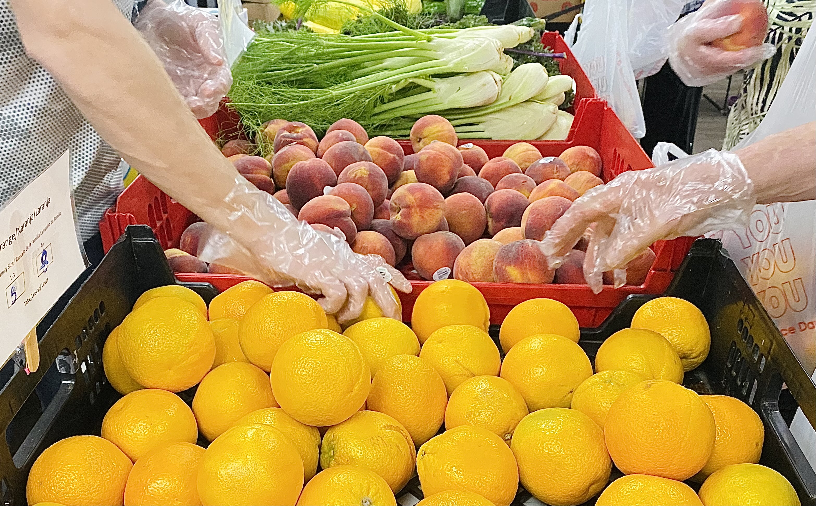 Donate Now | Be A Freezer Friend by Daniel's Table, Inc