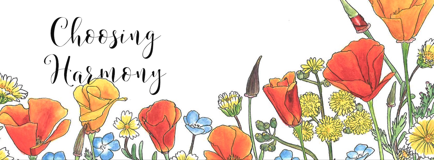iSing Spring Concert: Choosing Harmony by iSing Silicon Valley
