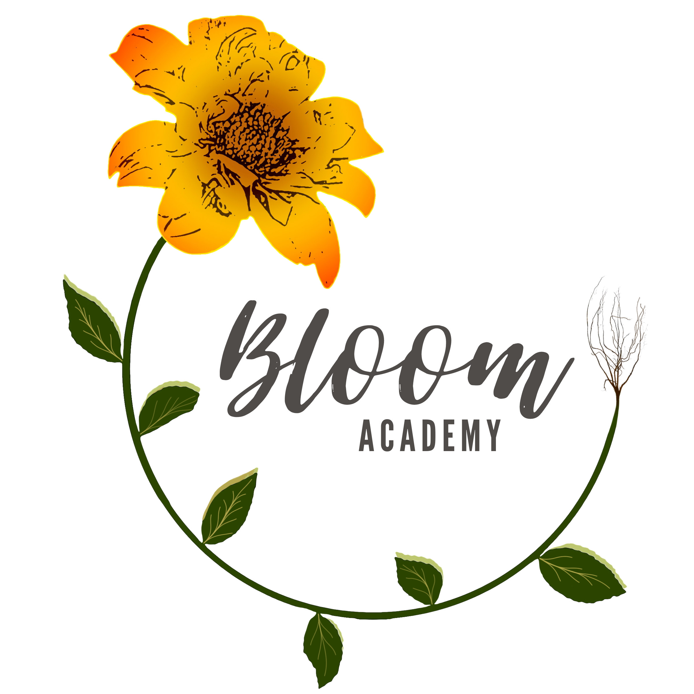 Donate Now | Bloom Academy