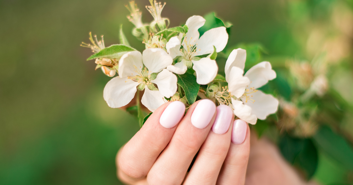 2025 Spring Observer Refresher by Indiana Phenology