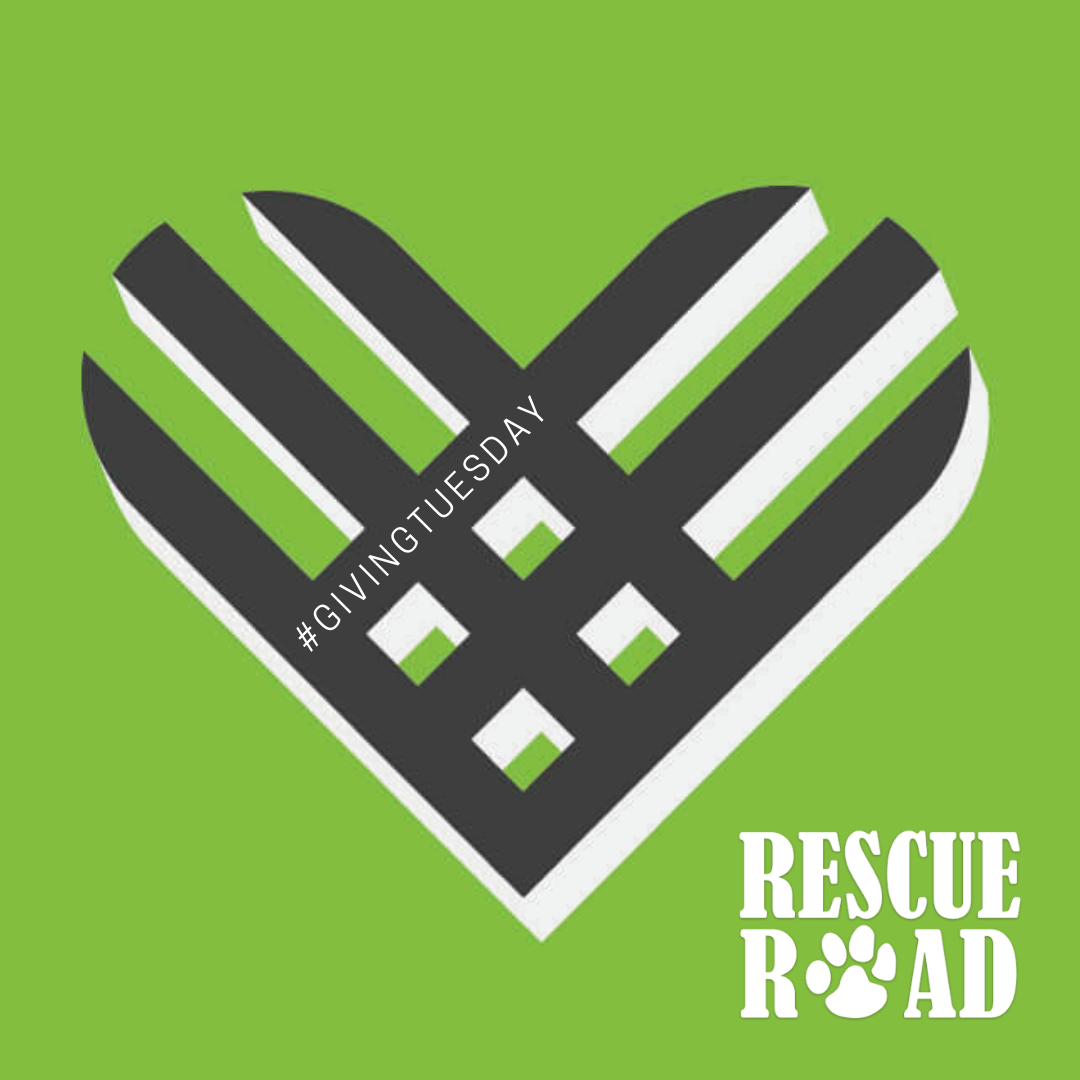 Donate Now | Rescue Road