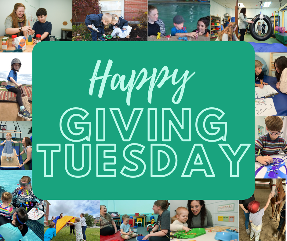Donate Now | Reach for the Top Therapy Services' Giving Tuesday 2024 by ...