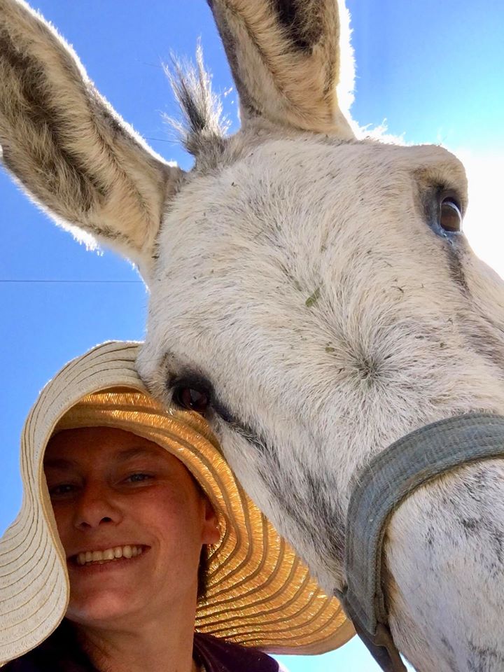 Donate Now | Steampunk Farms Rescue Barn, Inc.