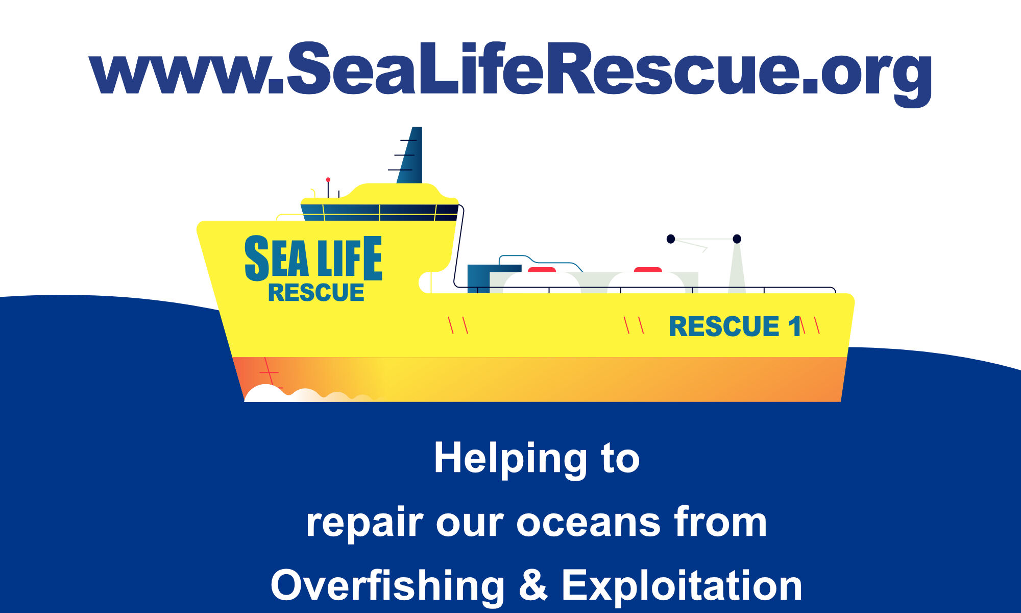 Donate Now | Sea Life Rescue
