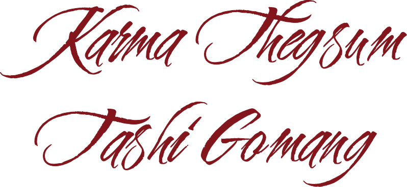 Donate Now | Karma Thegsum Tashi Gomang (KTTG)