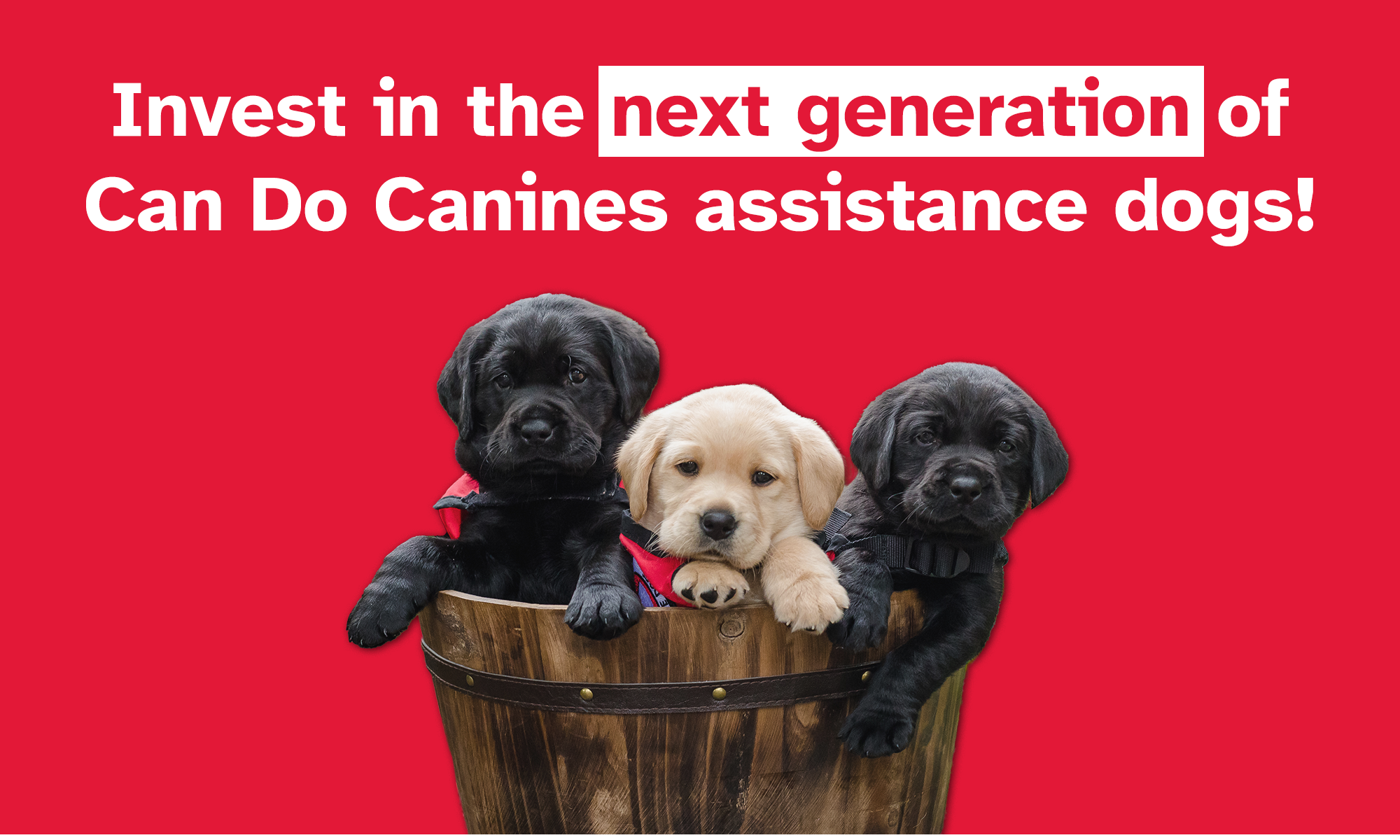 Donate Now | Invest in the next generation of Can Do Canines assistance ...