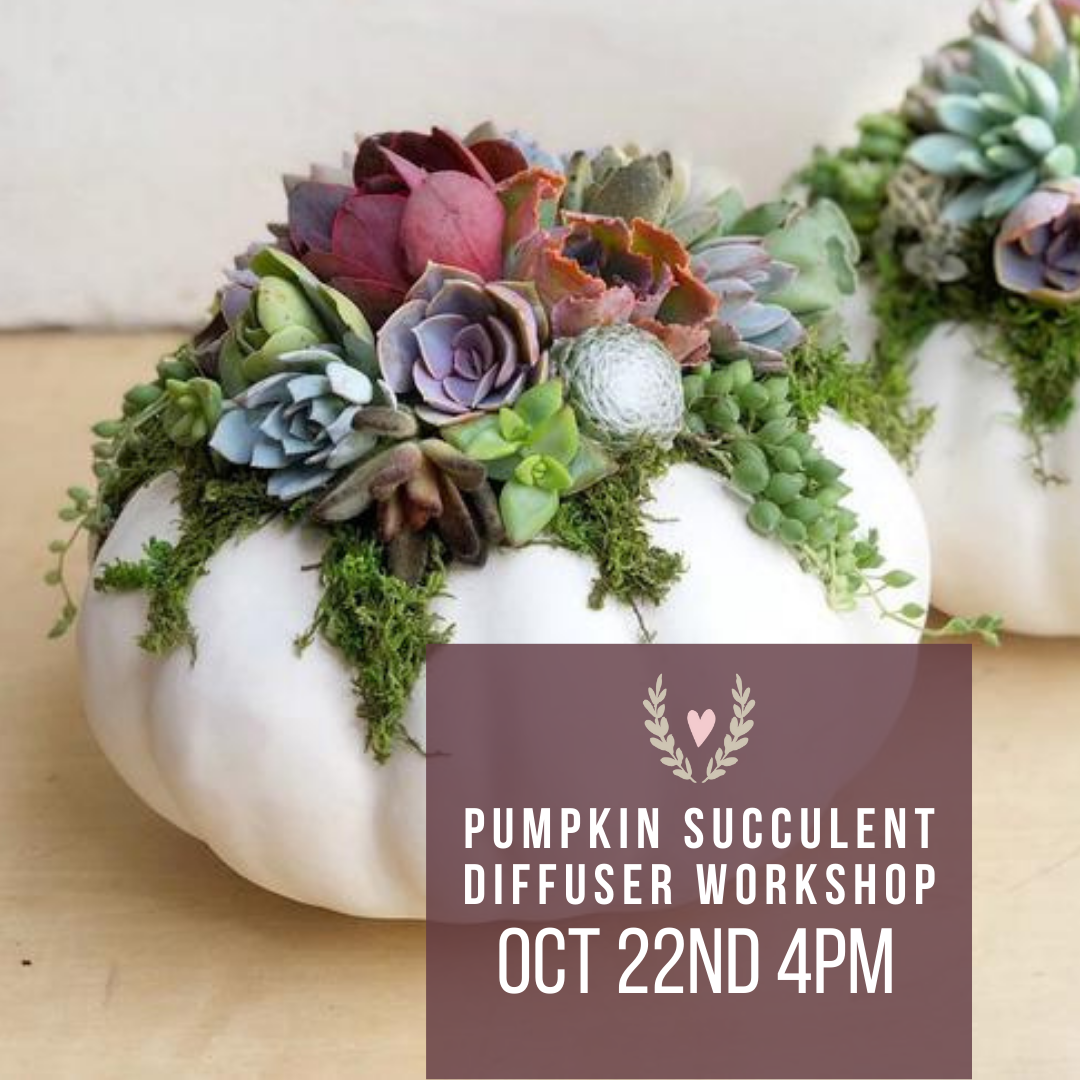 Pumpkin Succulent Diffuser Workshop by Vivi's Vintage Holiday Market