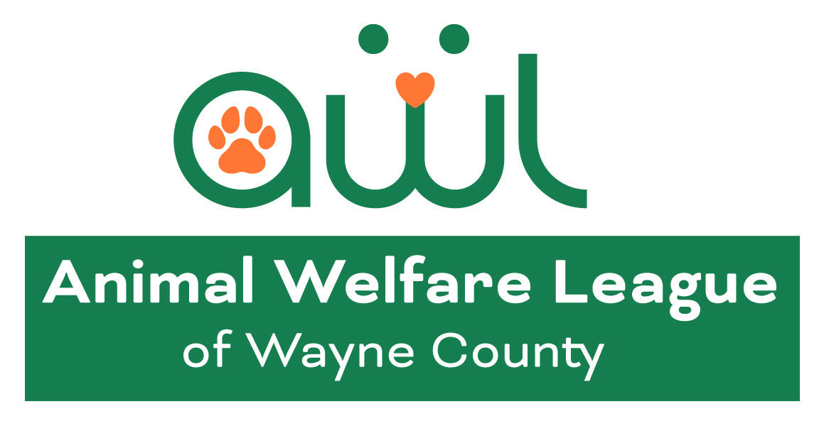 Donate Now | 2024/2025 Cutest Rescue Pet Photo Contest by Animal ...