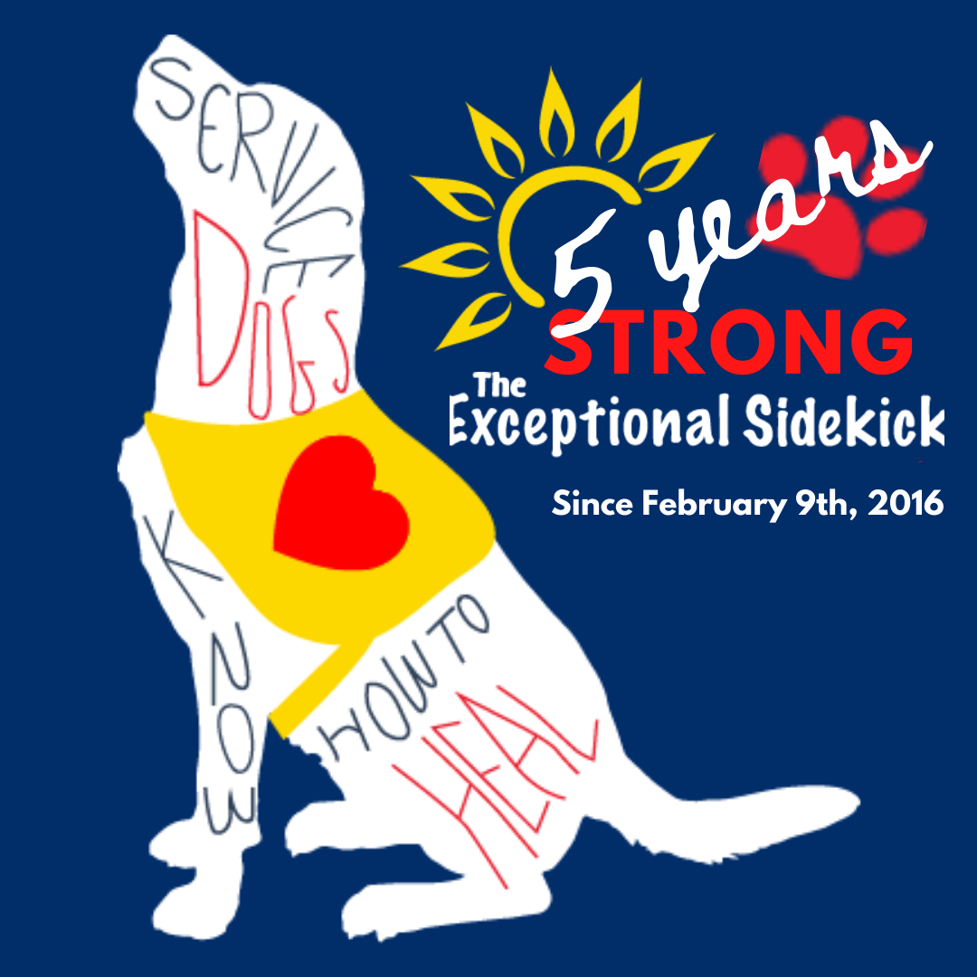 Donate Now | The Exceptional Sidekick