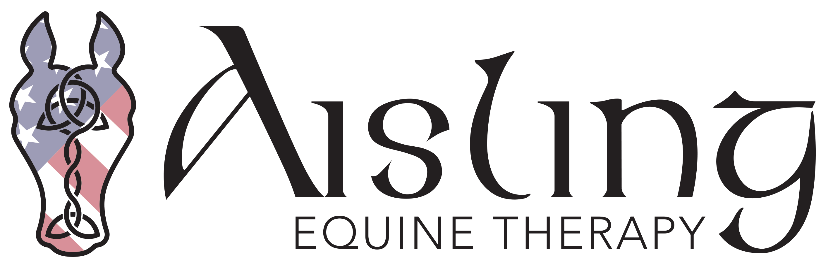 2025 Ranch Rodeo Raffle Tickets by Aisling's 2025 'Iron Sharpens Iron ...