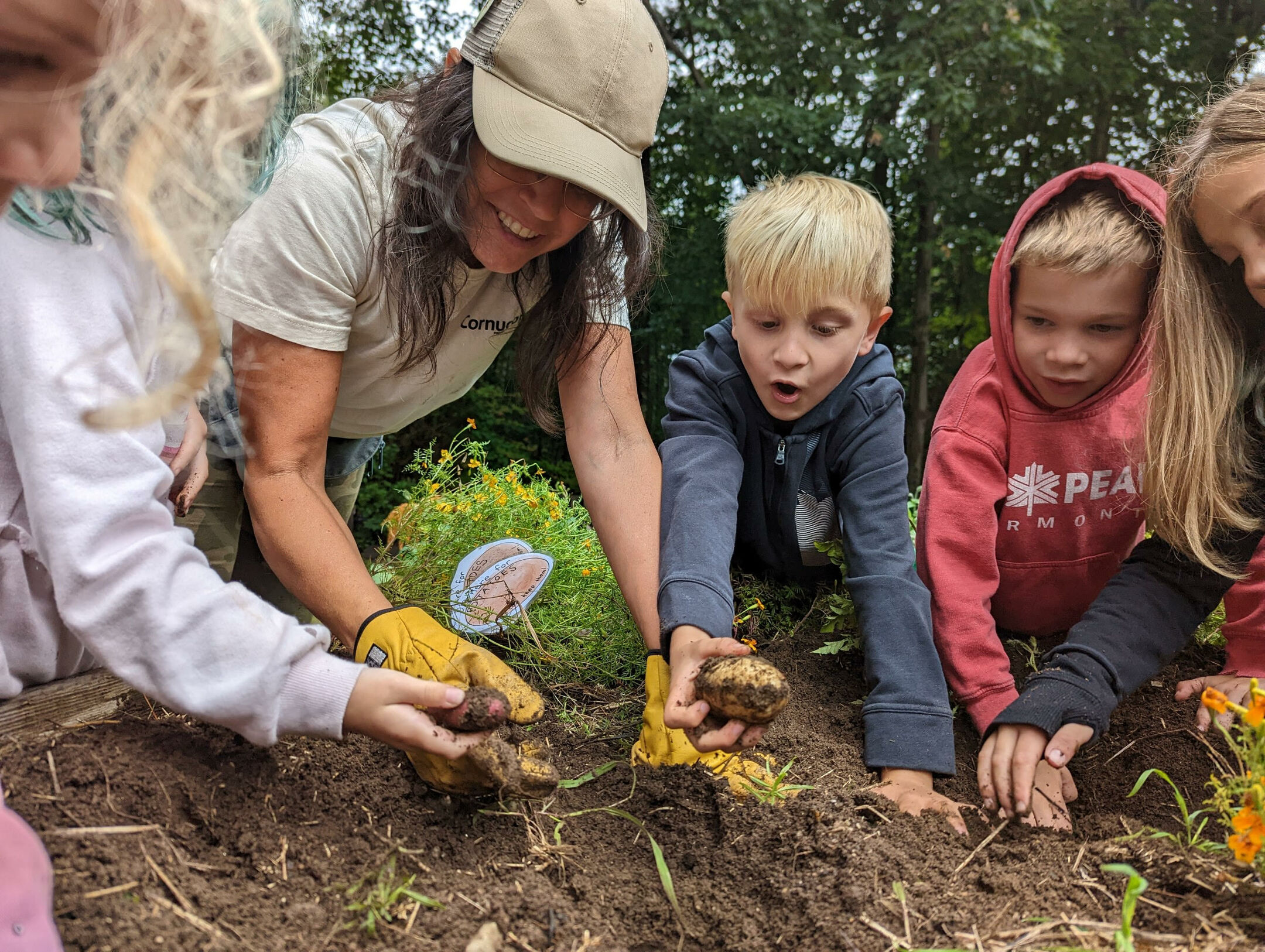 Donate Now | Cornucopia Project