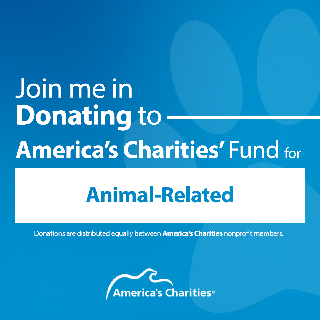 Donate Now | America's Charities Animal Welfare Fund by America's Charities