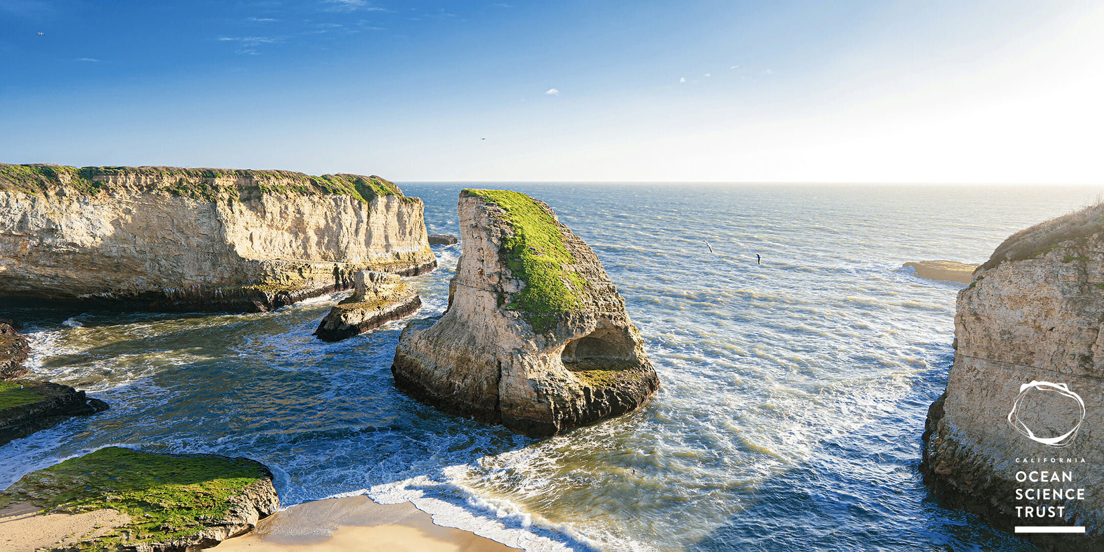 An Ocean Celebration by Legislative Science Services