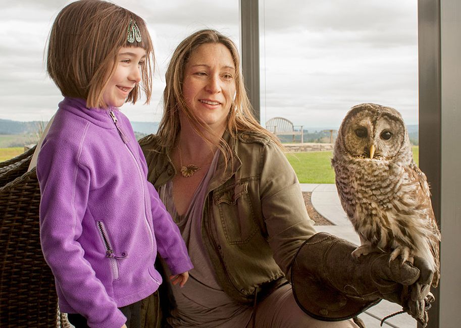 Donate Now | PERCH Wildlife Education