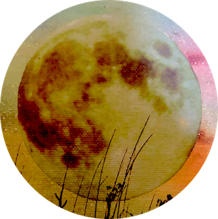 Harvest Moon Fall Festival and Fundraiser 2024 by Orkestai Farm