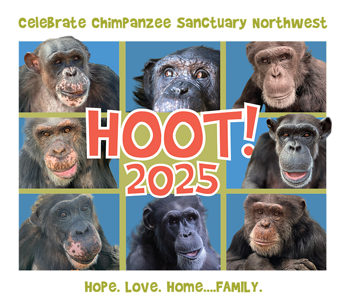 HOOT! 2025 - Live Broadcast RSVP by HOOT! 2025