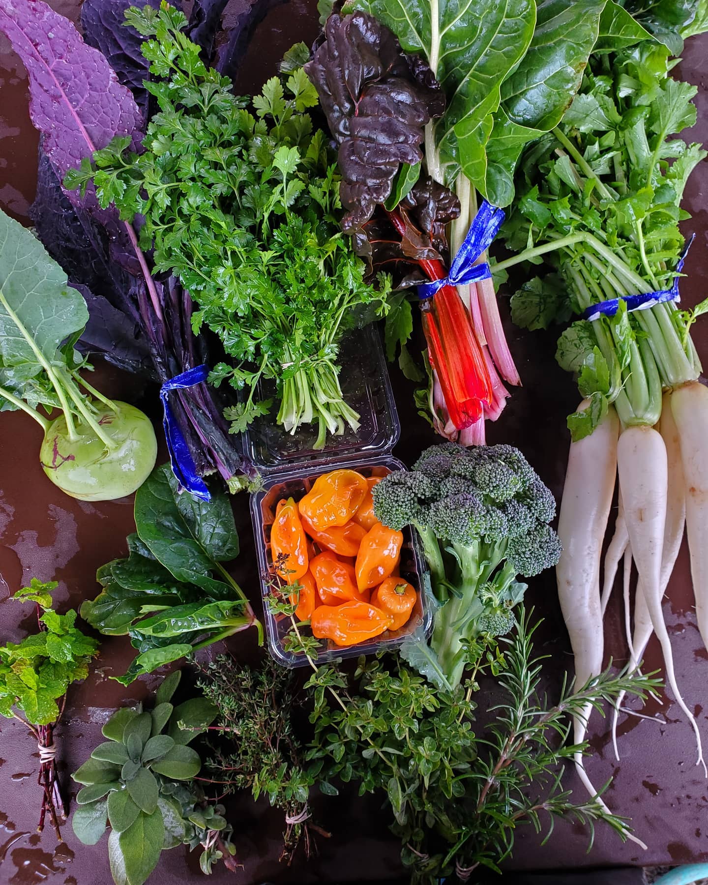 Donate Now | Elk Run Farm Online Giving by South King County Food Coalition