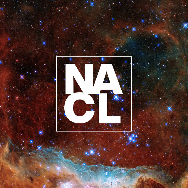 NACL 25th Birthday Party by Celebrate 25 Years of NACL