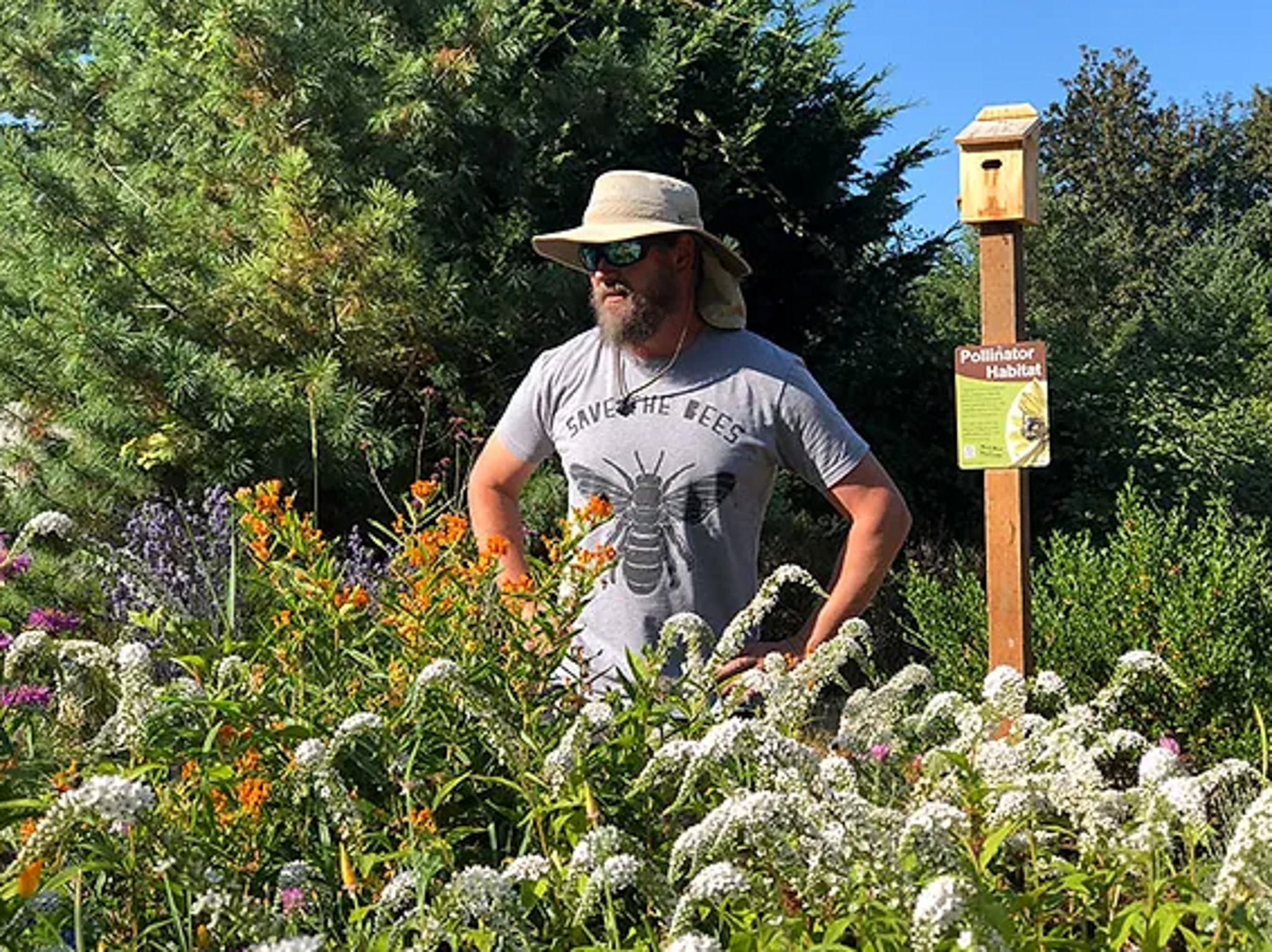 Donate Now | Washington Native Bee Society