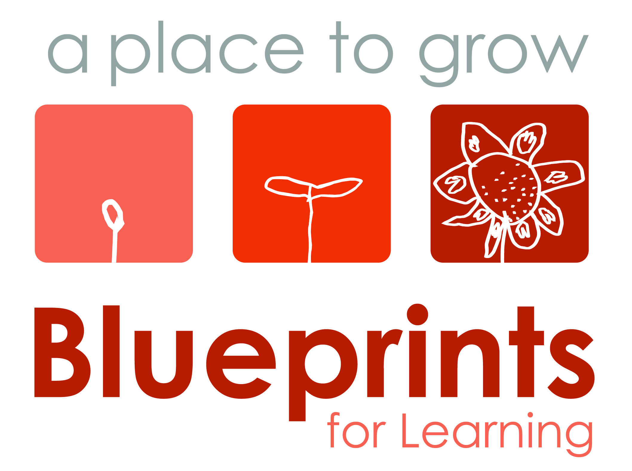 Ann Pelo - Reimagining Our Work February 20 by Blueprints for Learning