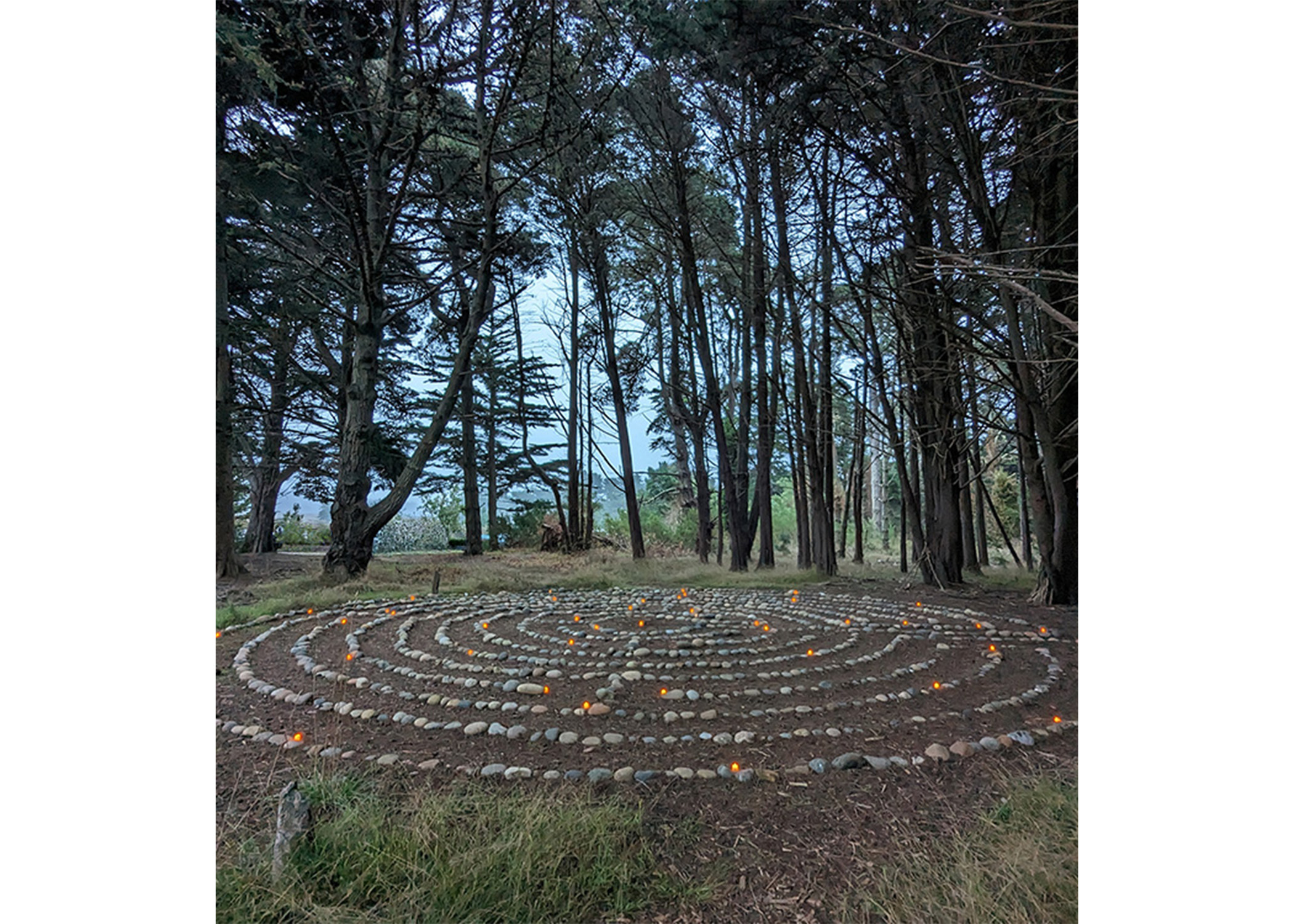 Donate Now | Collaborative for Health & Environment by Commonweal