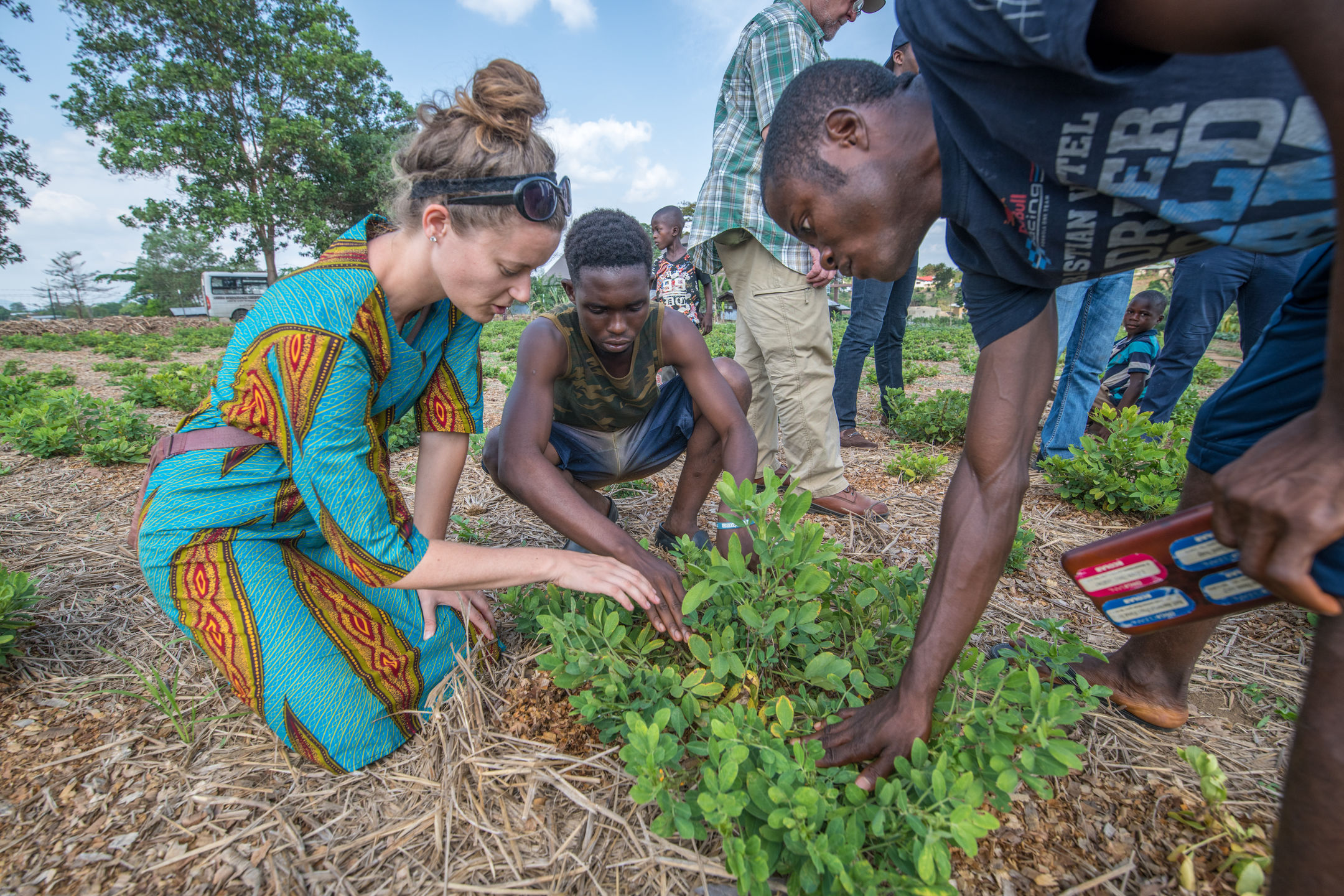 Donate Now | Roots Africa Inc.