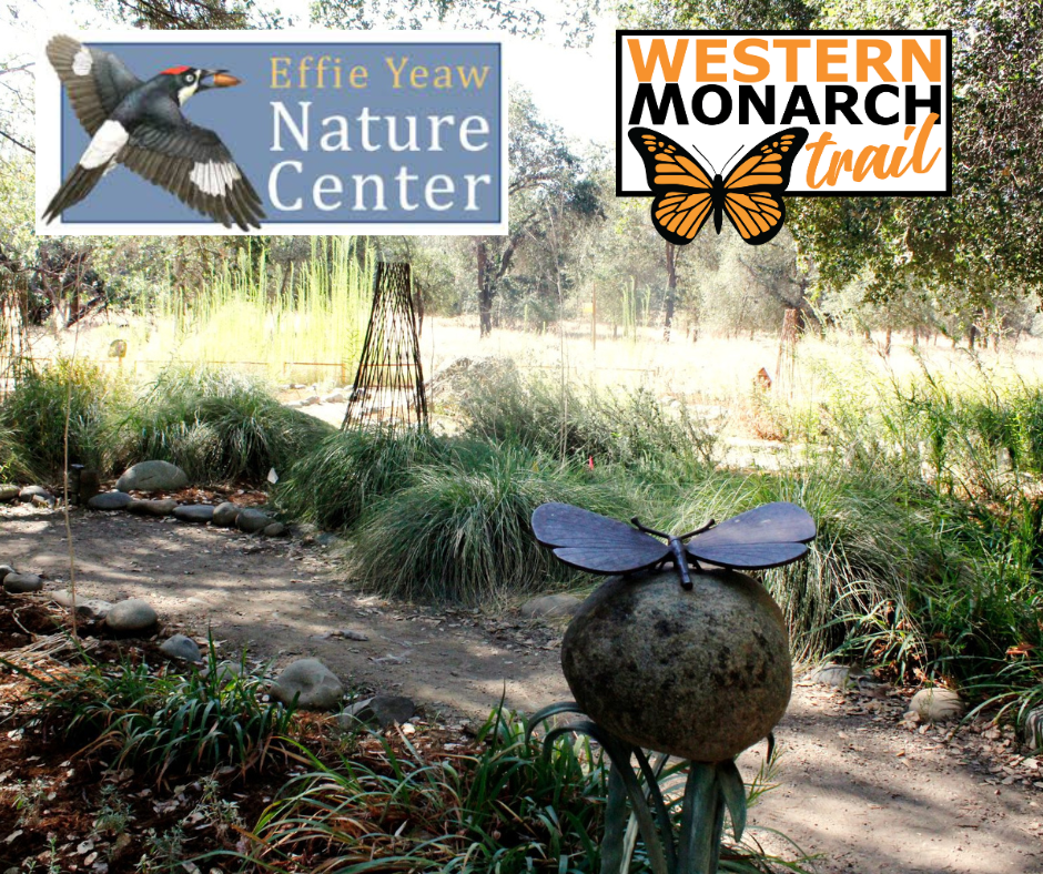 Donate Now | Effie Yeaw Nature Center + Western Monarch Trail by ...