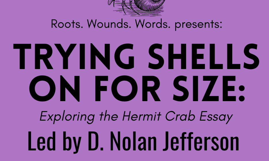 Trying Shells On For Size Exploring The Hermit Crab Essay By Roots trying-shells-on-for-size-exploring-the-hermit-crab-essay-by-roots