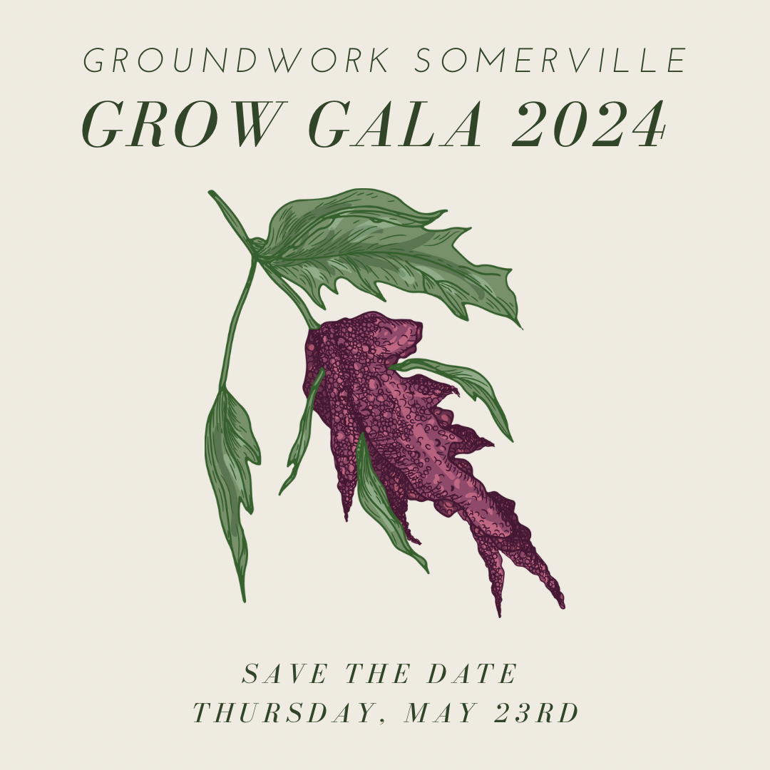 Groundwork Somerville Grow Gala 2024 by Groundwork Somerville Grow Gala ...