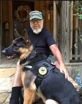 Donate Now | Saving lives at both ends of the leash by Working Dogs For ...