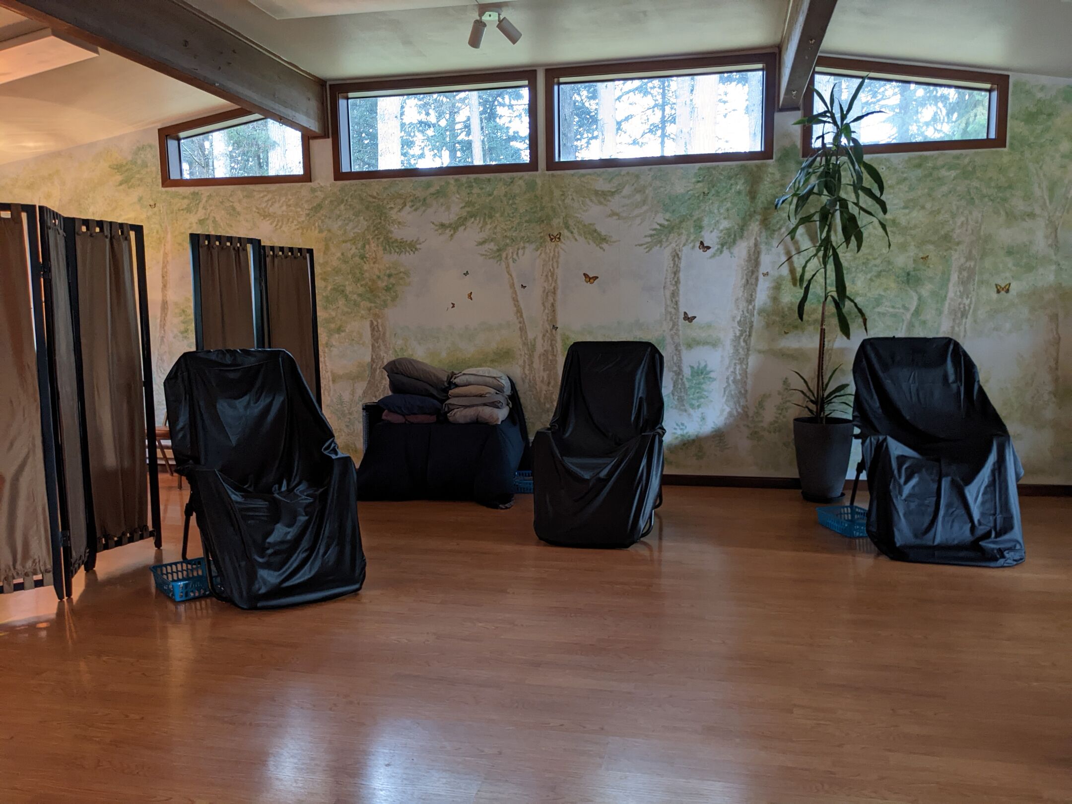 Donate Now | Olympia Community Acupuncture