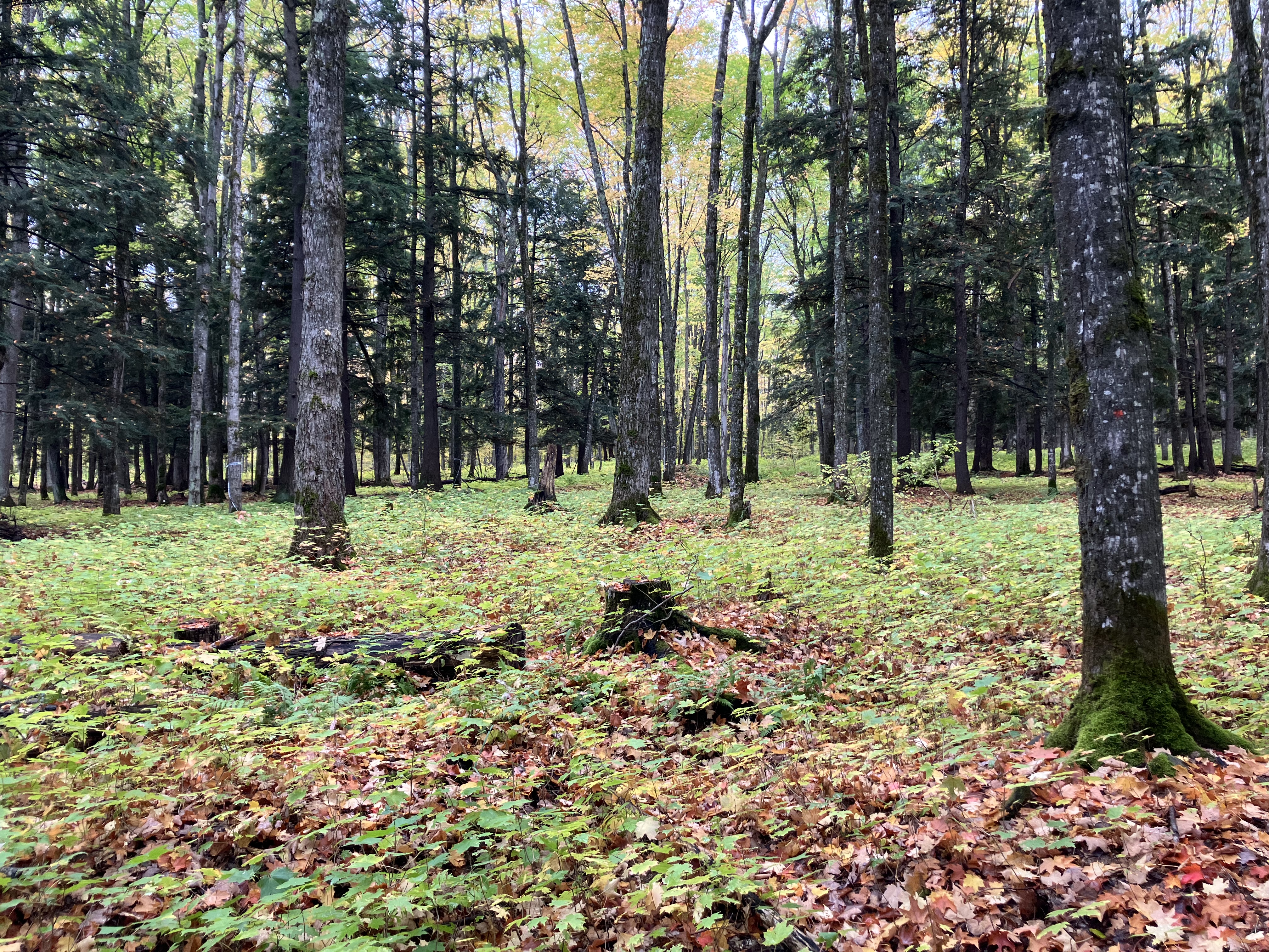 Outdoors Empowered Network