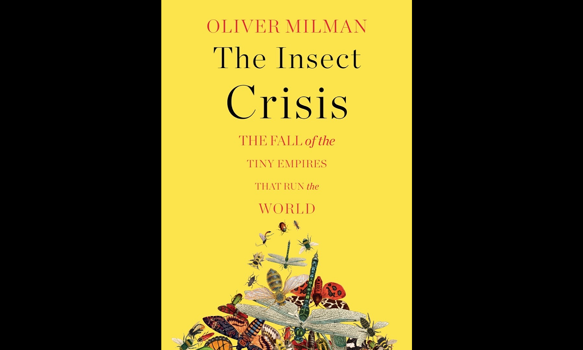 Science on Tap -- The Insect Crisis: The Fall of the Tiny Empires That ...