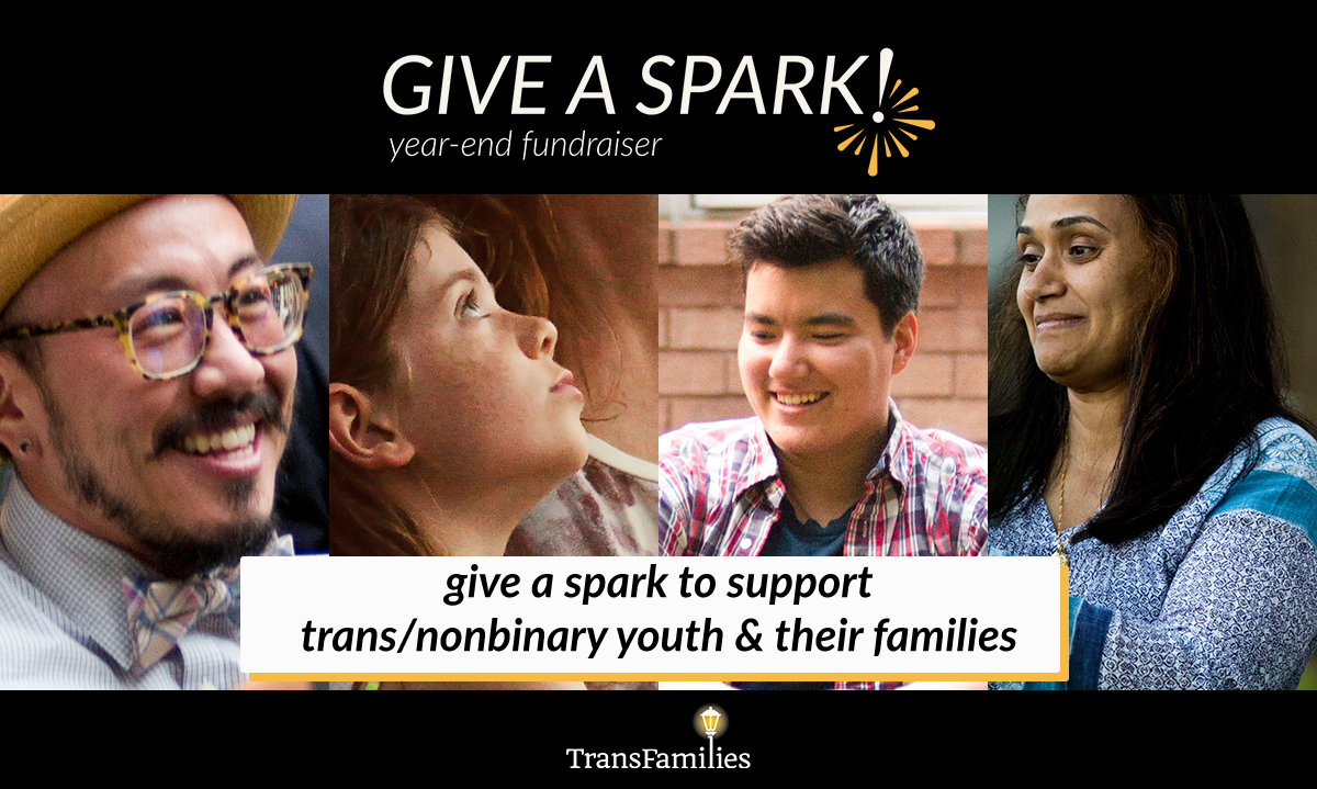 Donate Now | Give A Spark! 2022 by Trans Families (aka Gender Odyssey ...