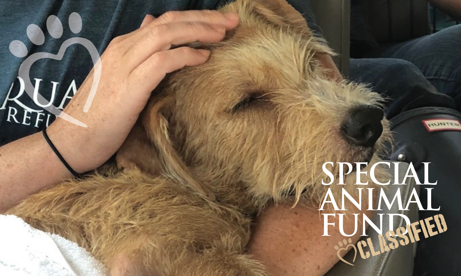 Donate Now | Special Animal Fund by Alaqua Animal Refuge