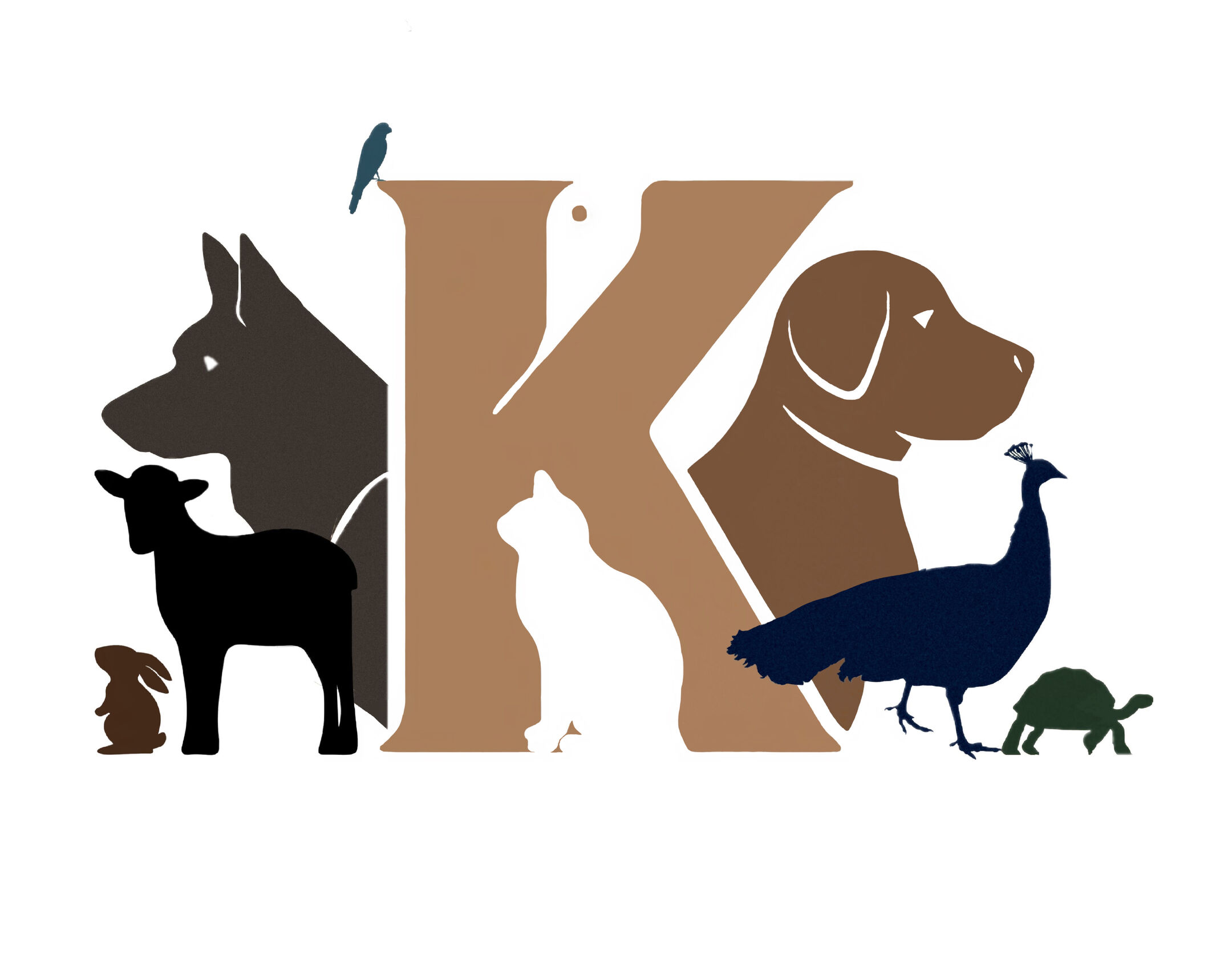 Kabul Small Animal Rescue