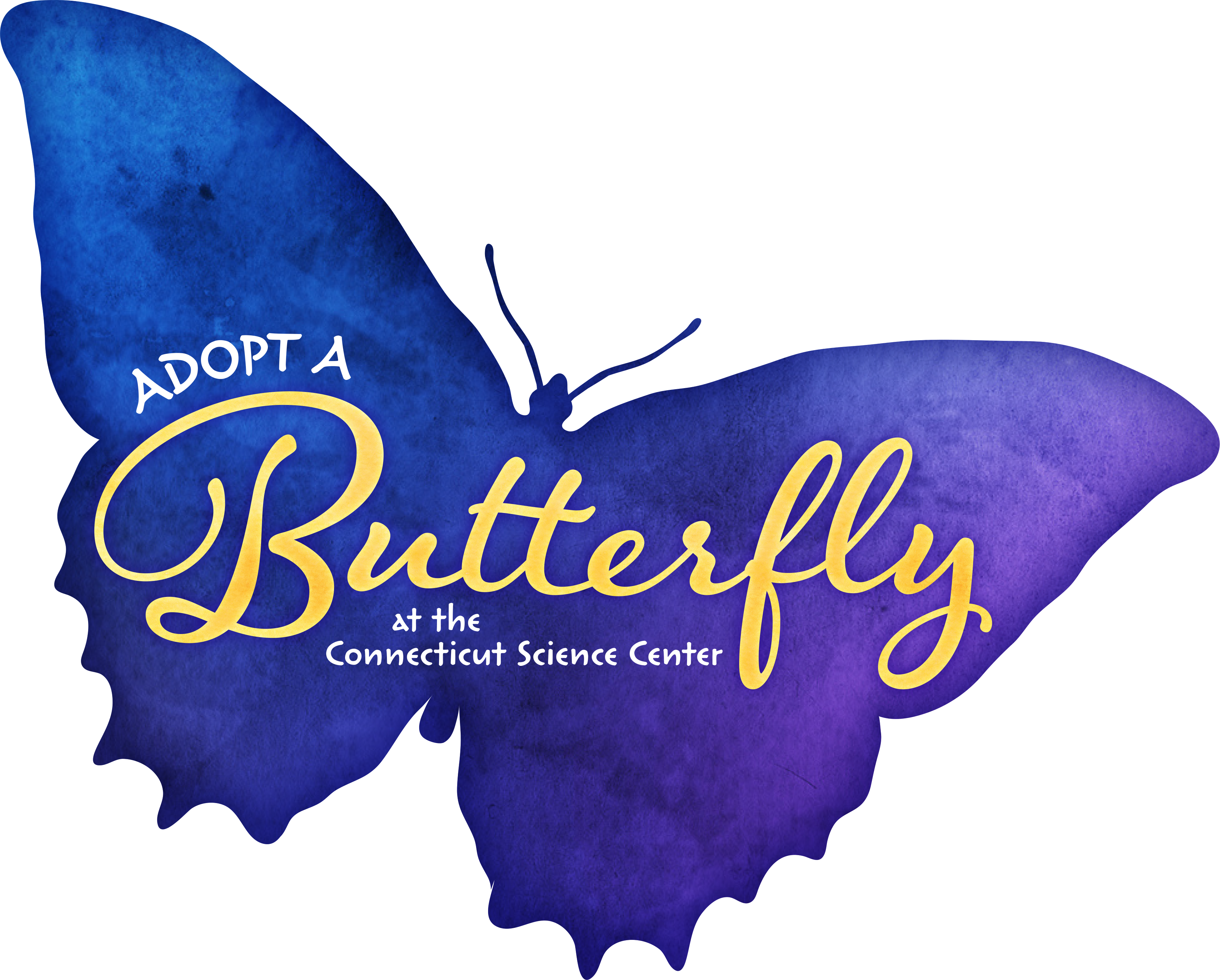 Donate Now | Adopt a Butterfly at the Connecticut Science Center by ...