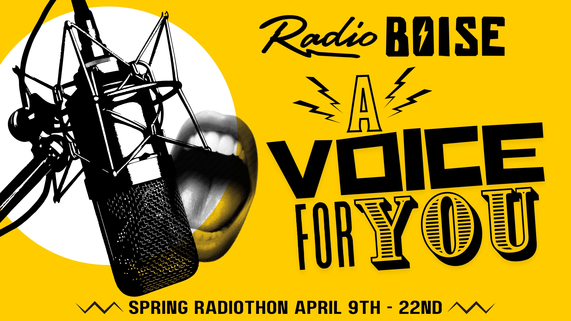 Donate Now | 2025 Spring Radiothon - A Voice For You! by Radio Boise