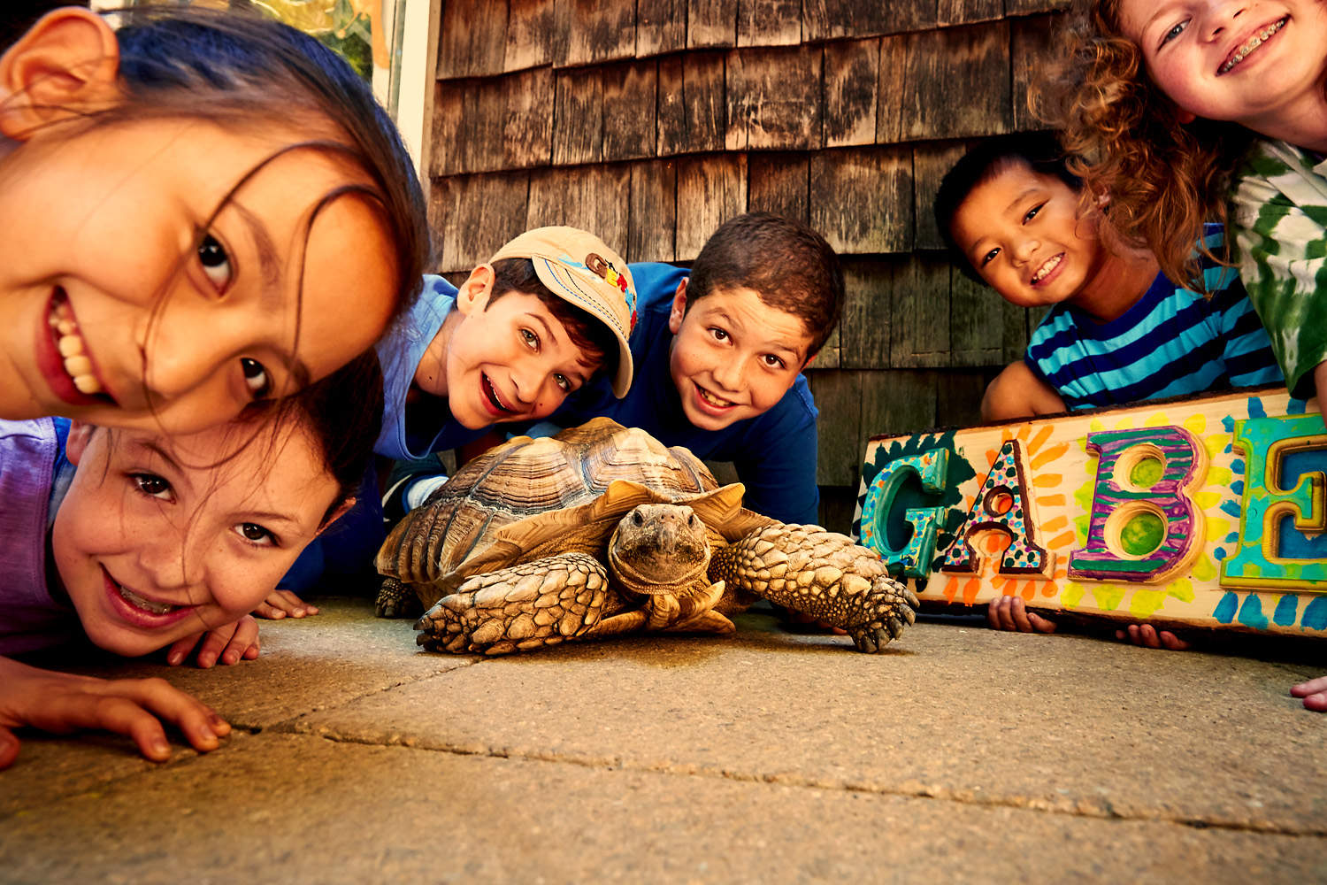 Donate Now | Donate Now by Usdan Summer Camp for the Arts